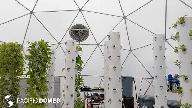 Epic Future of Vertical Farming - Pacific Domes | Pacific Domes